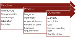 Structure Process Outcome Model – USA Research Writers